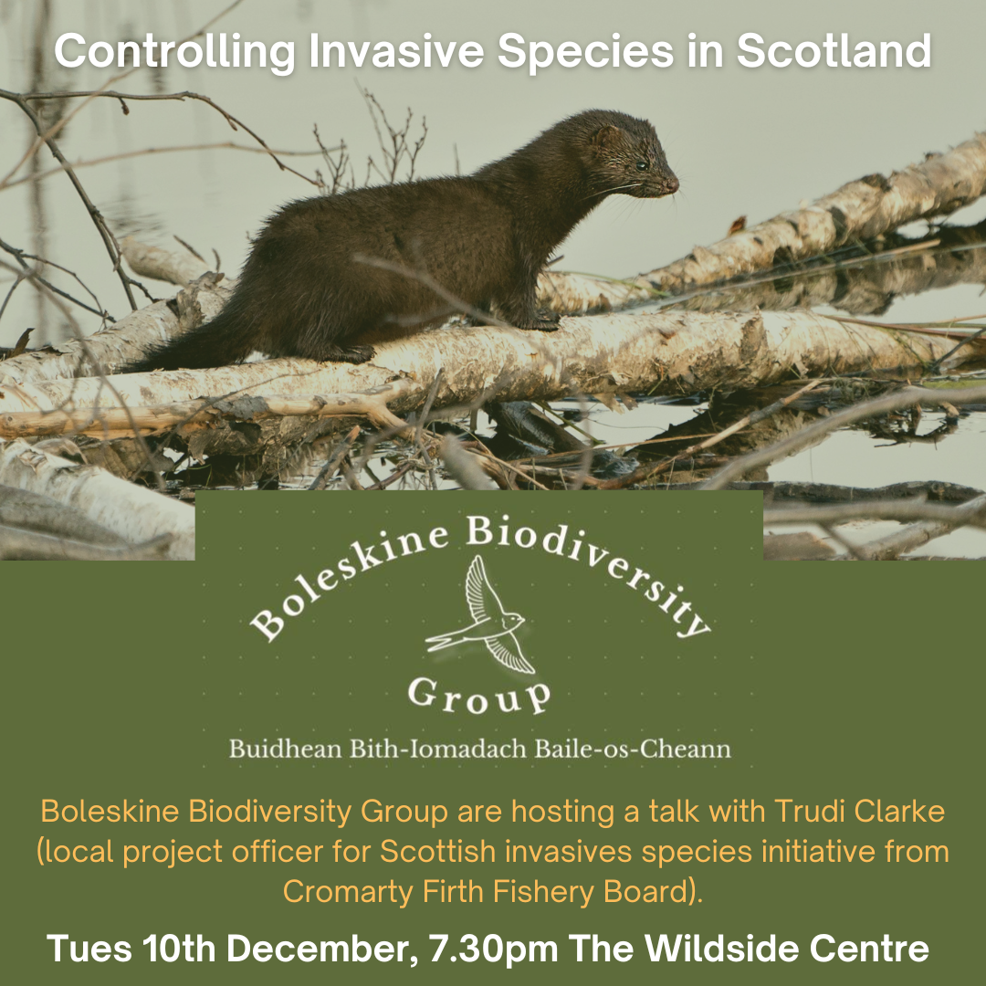 Controlling Invasive Species in Scotland. By Trudi Clarke (Scottish ...