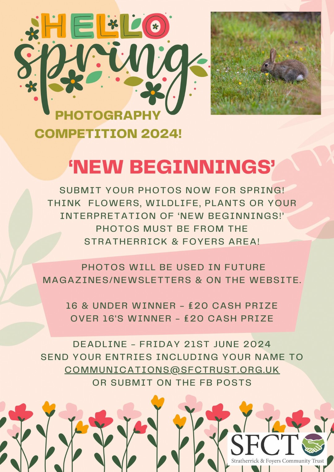 Spring Photo Competition Deadline | 15 June 2024 | Stratherrick ...
