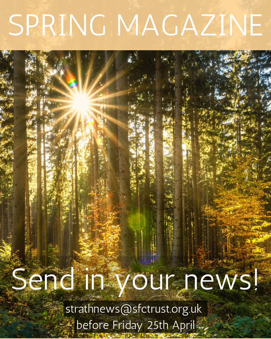 Spring Magazine Deadline | 25 April 2025 | Stratherrick & Foyers ...