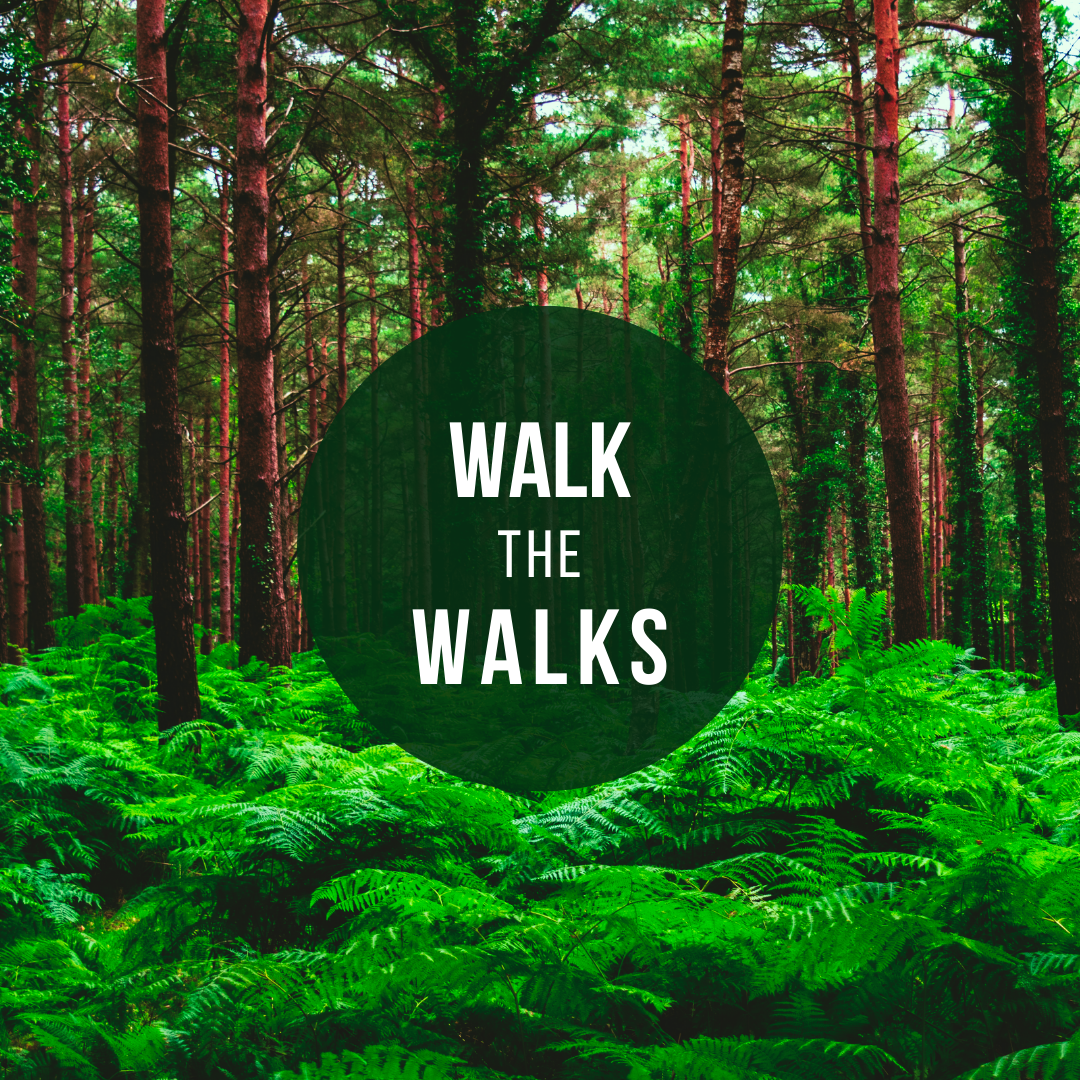 Walk of the month! Inverfarigaig to Foyers, South Loch Ness Trail | 04 ...